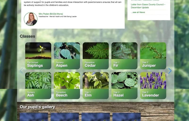 Pear Tree Mead Academy - Gog Eye Creative